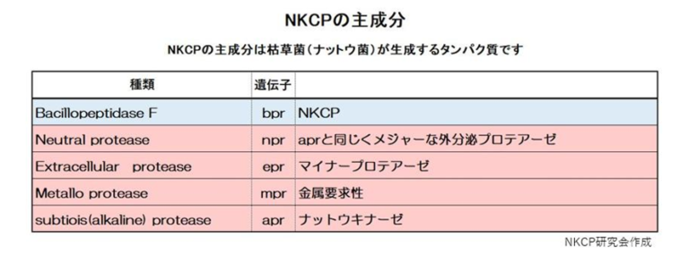 NKCP研究会